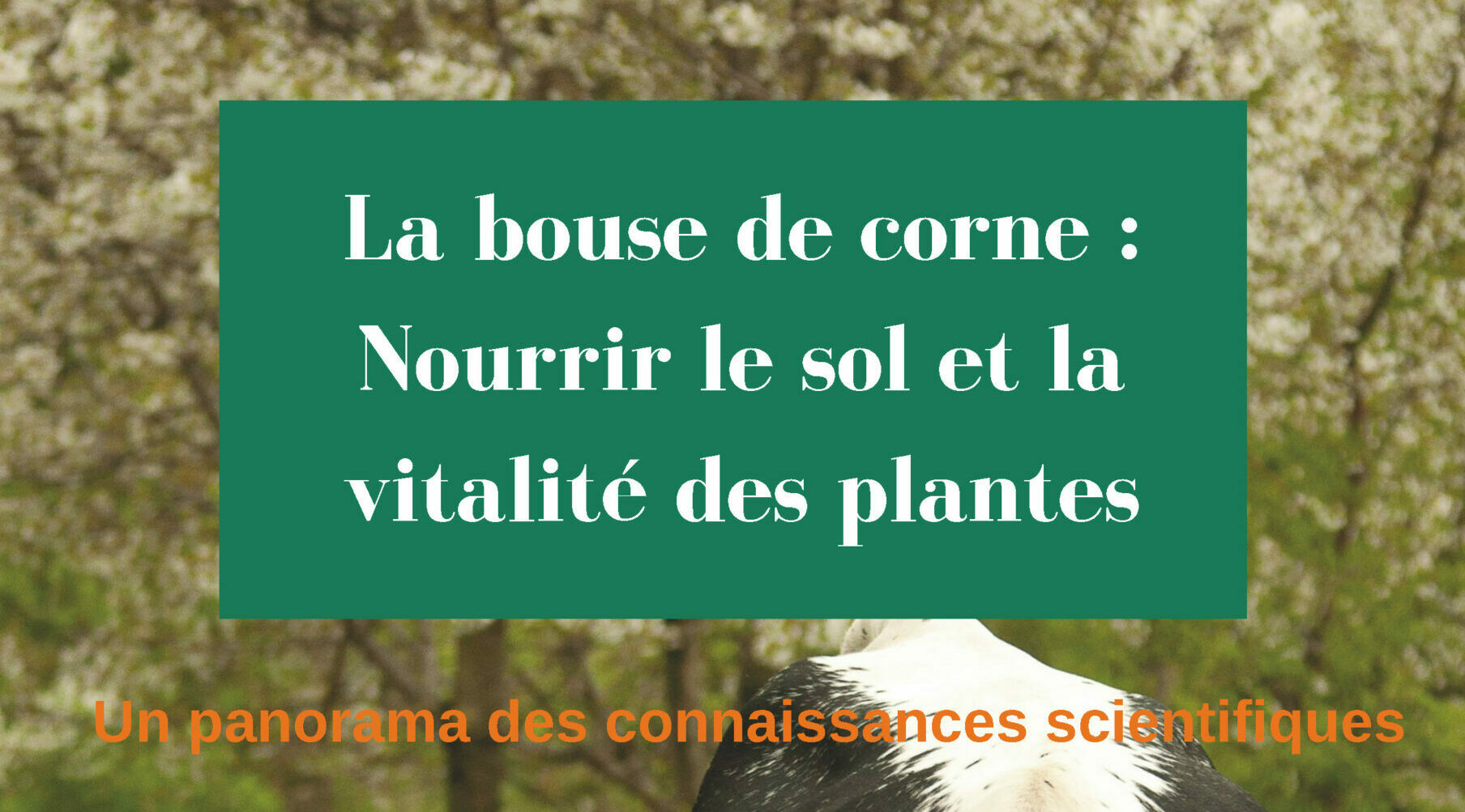 Panorama des connaissances scientifiques sur la bouse de corne