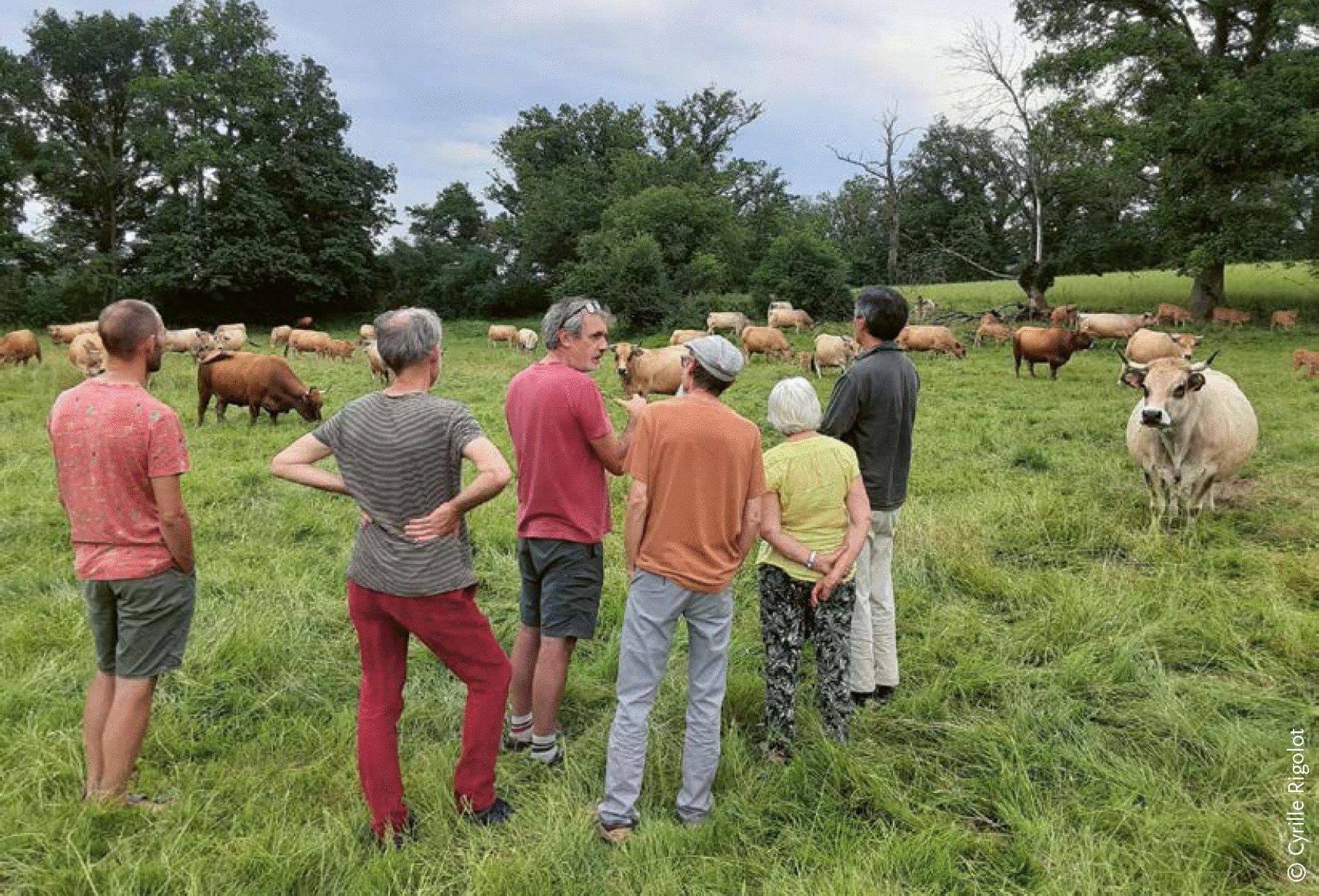 Explorer les synergies entre la biodynamie et la transdisciplinarité