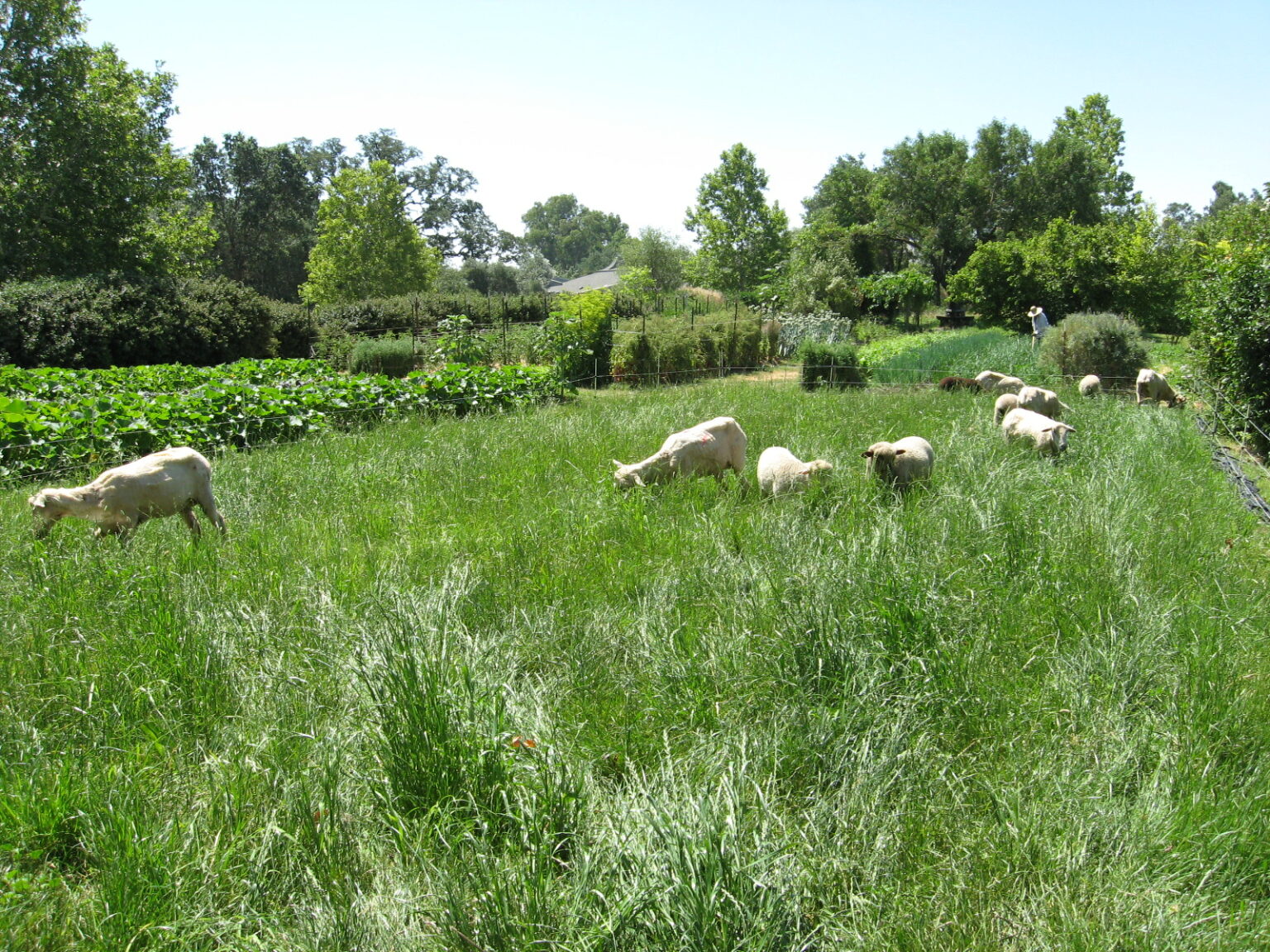 Biodynamie Recherche - Soutenir et développer la recherche en biodynamie