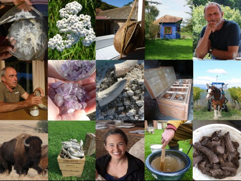 Biodynamie Recherche - Soutenir et développer la recherche en biodynamie