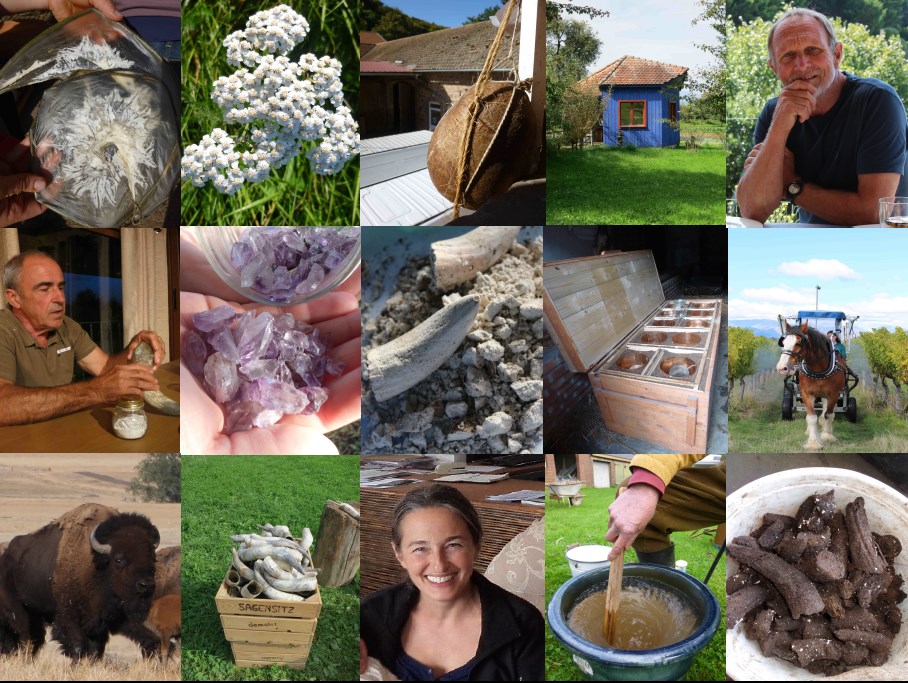 Biodynamie Recherche - Soutenir et développer la recherche en biodynamie